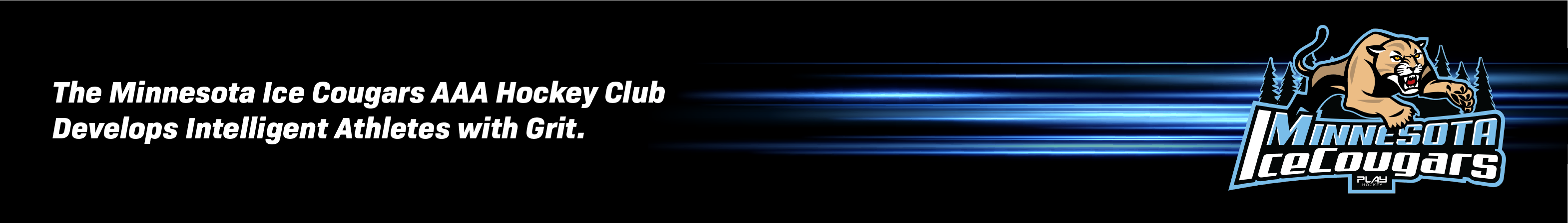 Minnesota Ice Cougars